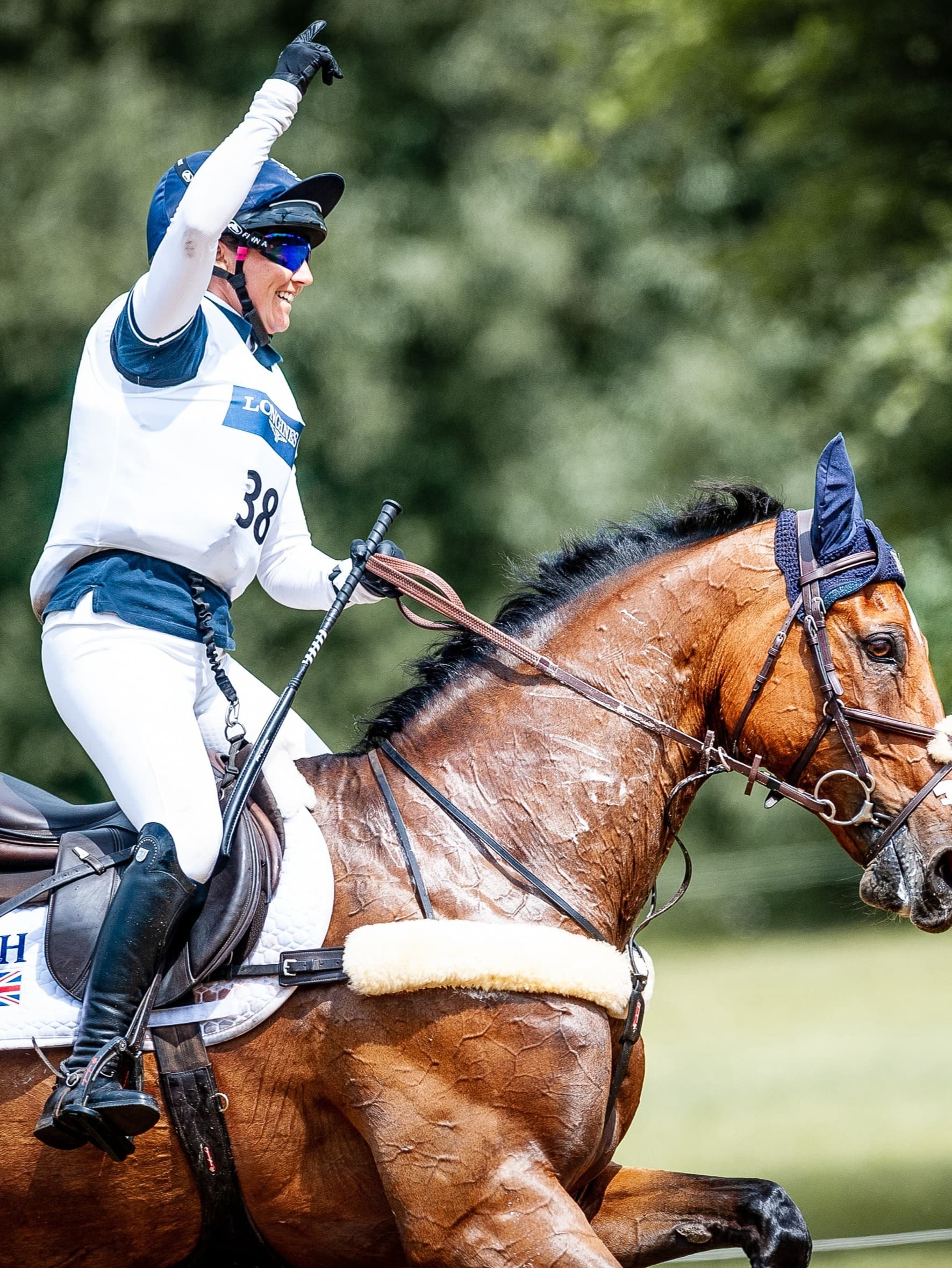 EquiRatings | Data That Drives Sport.